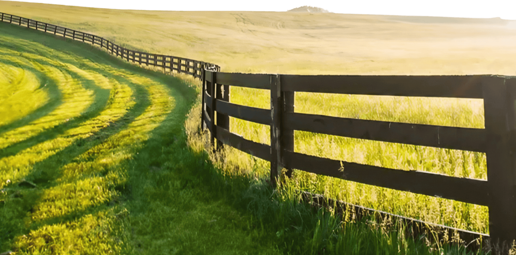 Automatic Sampler for Bulk Food Solids | TrueSampler™